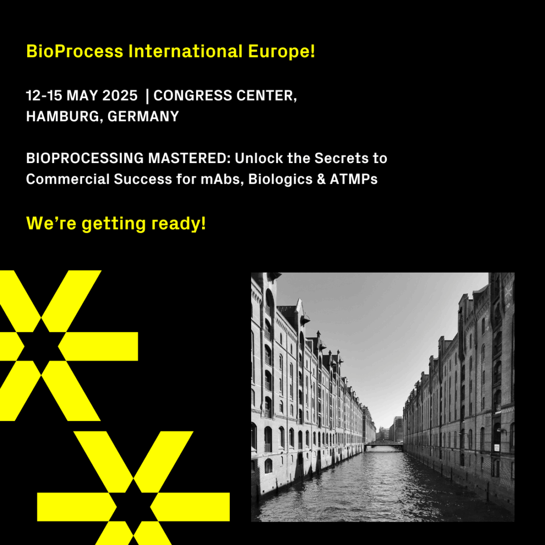 Insights - bespark*bio