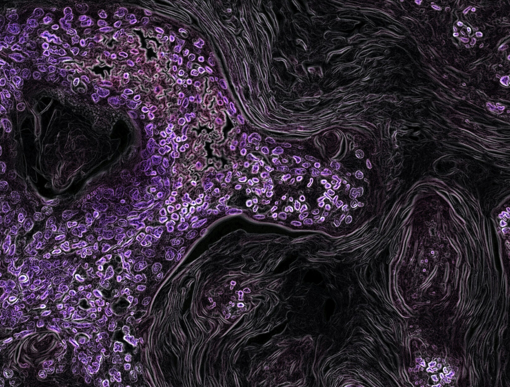 bespark*bio | Expertise