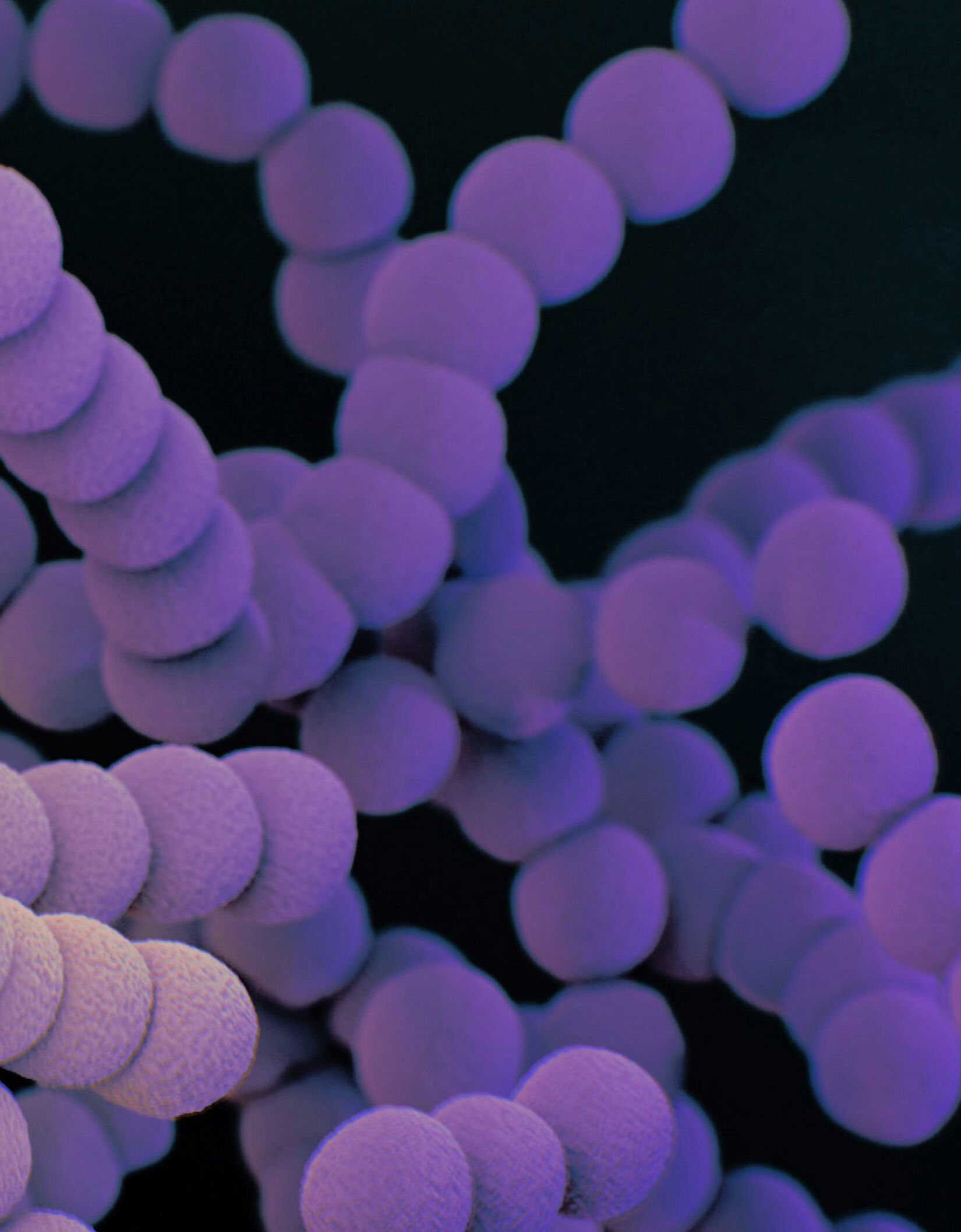 bespark*bio | Expertise